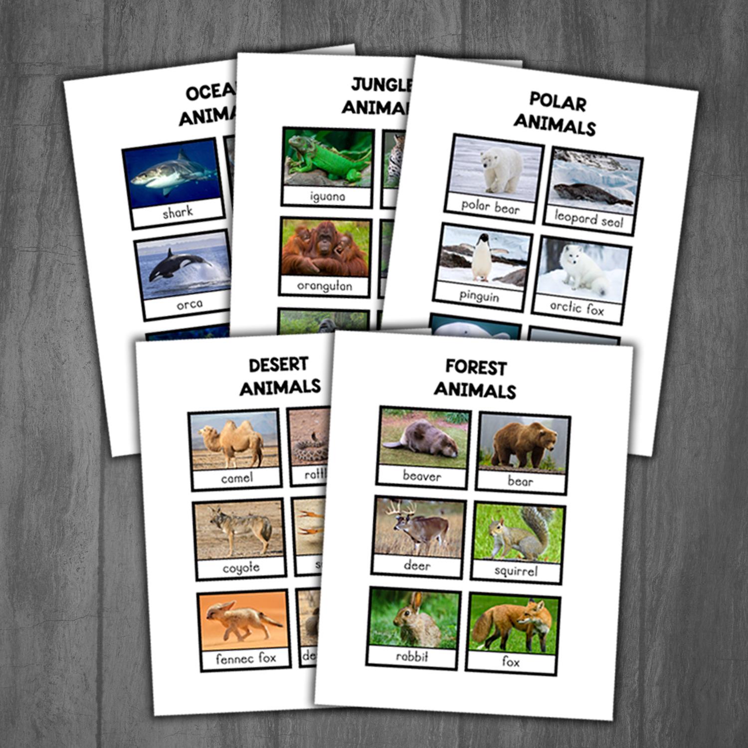 Animal Habitats Sorting Activity & Sort Activities | Sort by Habitat ...