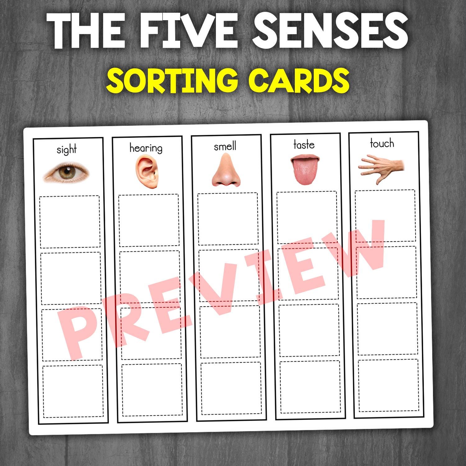 The Five Senses | 5 Senses Sorting Matching Activity | Five Senses ...