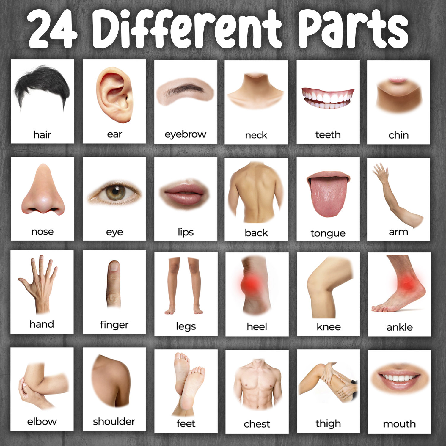 Body Part Flashcards | Real Pictures | Montessori 3-part Cards | Parts ...