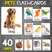 Pets Flashcards | Real Pictures | Montessori 3-part Cards | Pets ...
