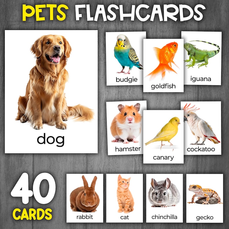 Pets Flashcards | Real Pictures | Montessori 3-part Cards | Pets ...