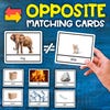 40 Printable Opposites Matching Flashcards,opposite Adjectives, Pairing ...