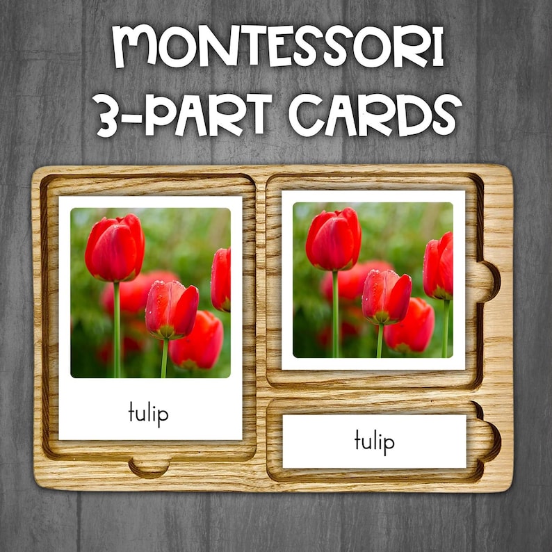 Types of Flowers Flashcards | Real Pictures | Montessori 3-part Cards ...