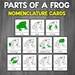 Parts of a Frog 3-part Cards Montessori Nomenclature Cards Frog Anatomy ...