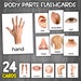 Body Part Flashcards | Real Pictures | Montessori 3-part Cards | Parts ...