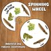 Frog Life Cycle Craft (spinning Wheel) + Frog Life Cycle Flashcards ...