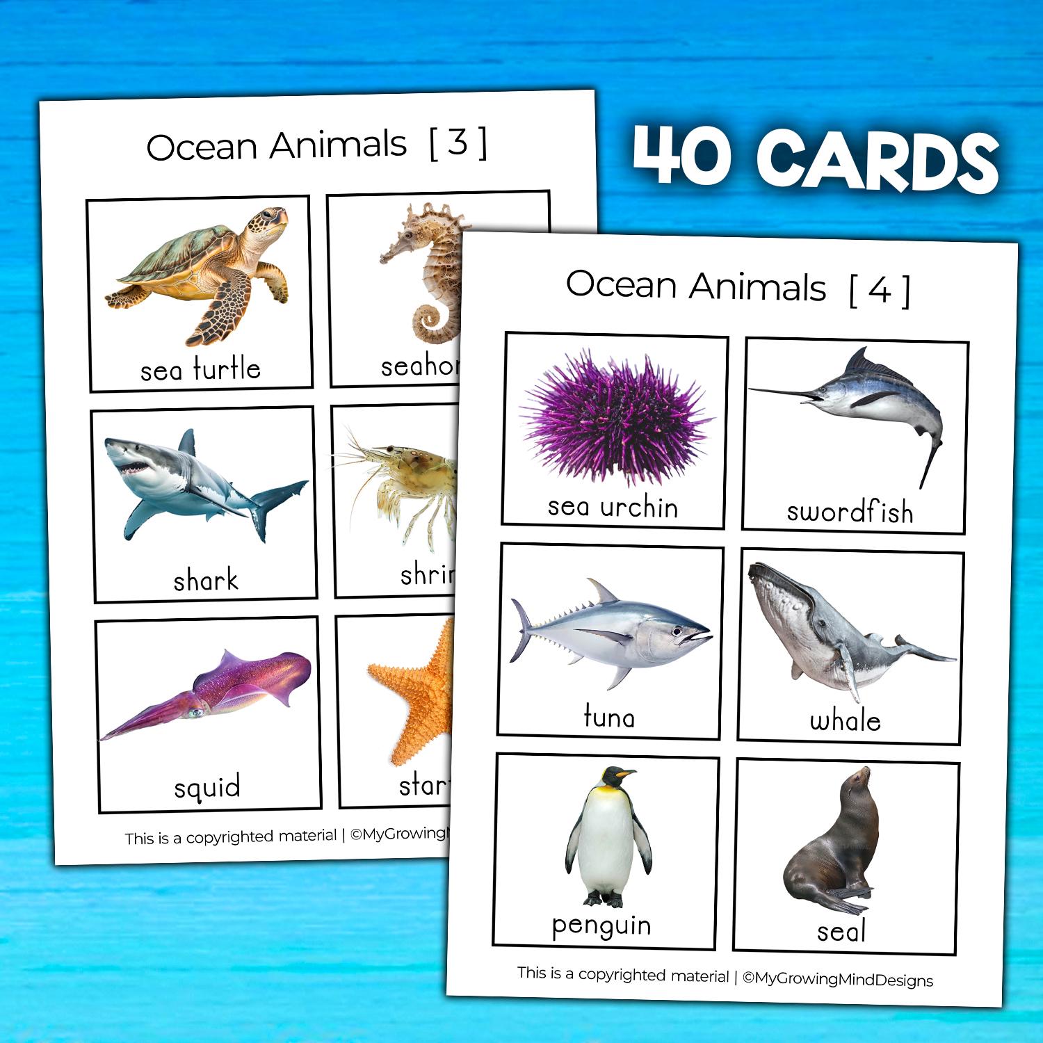 Ocean Animals Vocabulary Picture Cards| Autism Visuals Speech Therapy ...