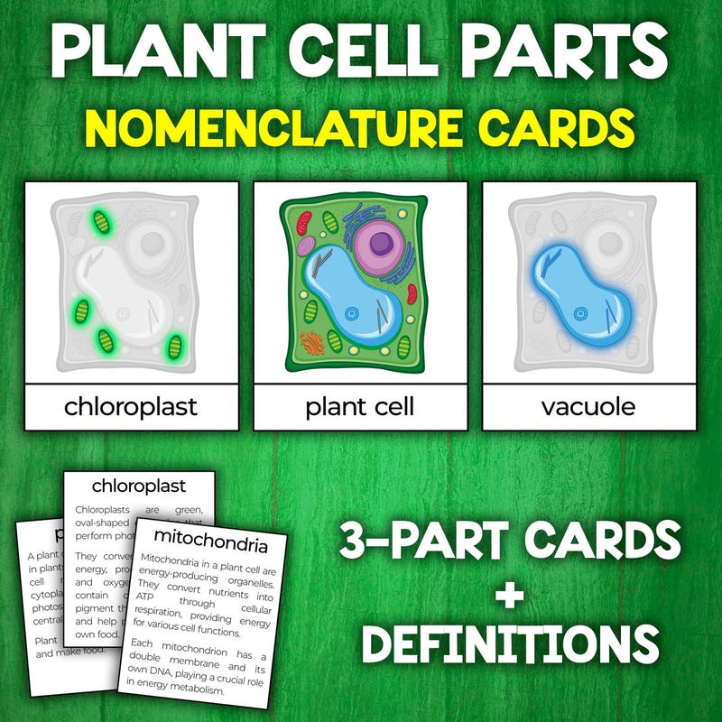 Cell Parts Printable - Etsy
