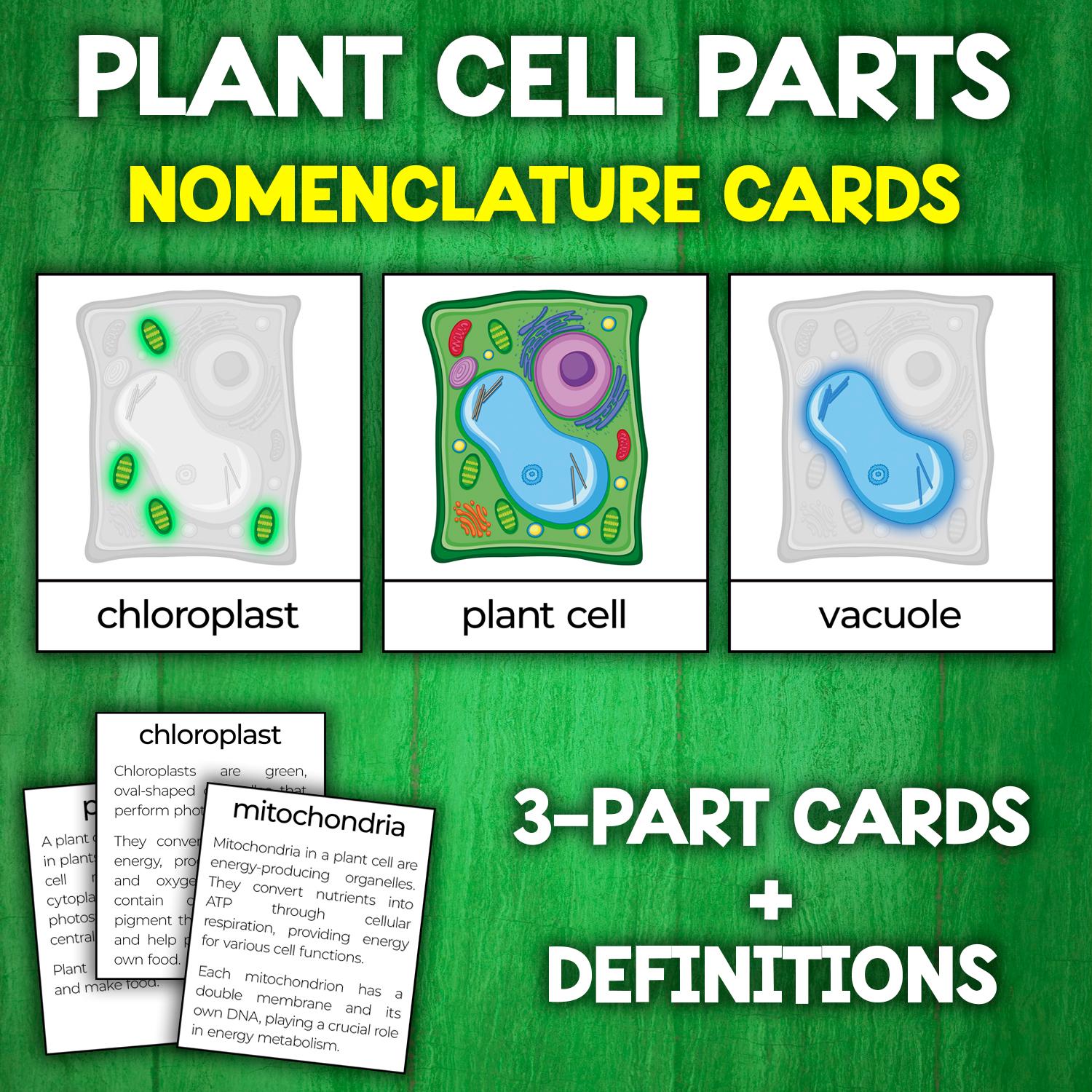Plant Cell Parts | Montessori Nomenclature Cards | Flashcards | 3 Part ...