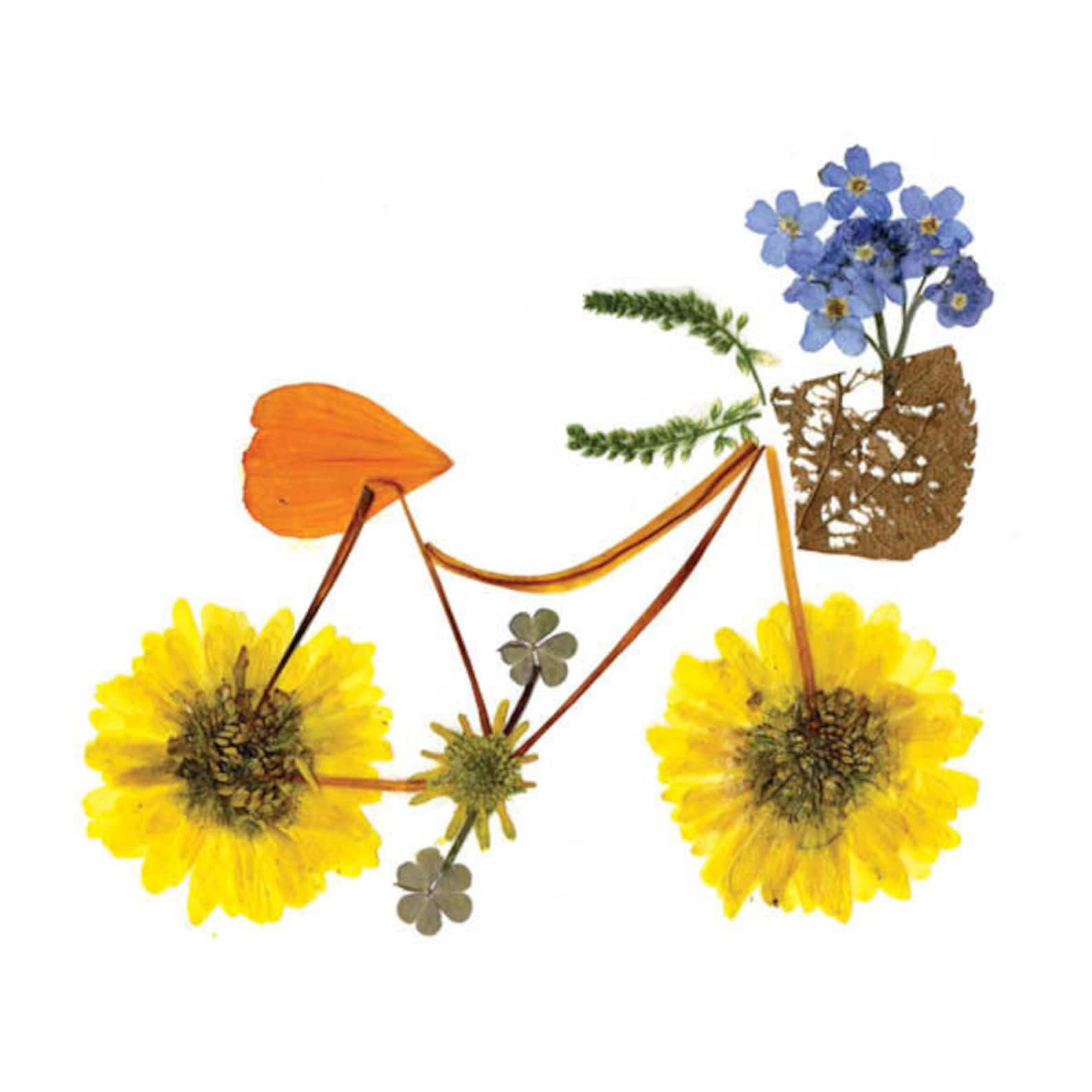 Flower Pedals - Pressed Flower Bicycle Art Card Print: Botanical Garden ...