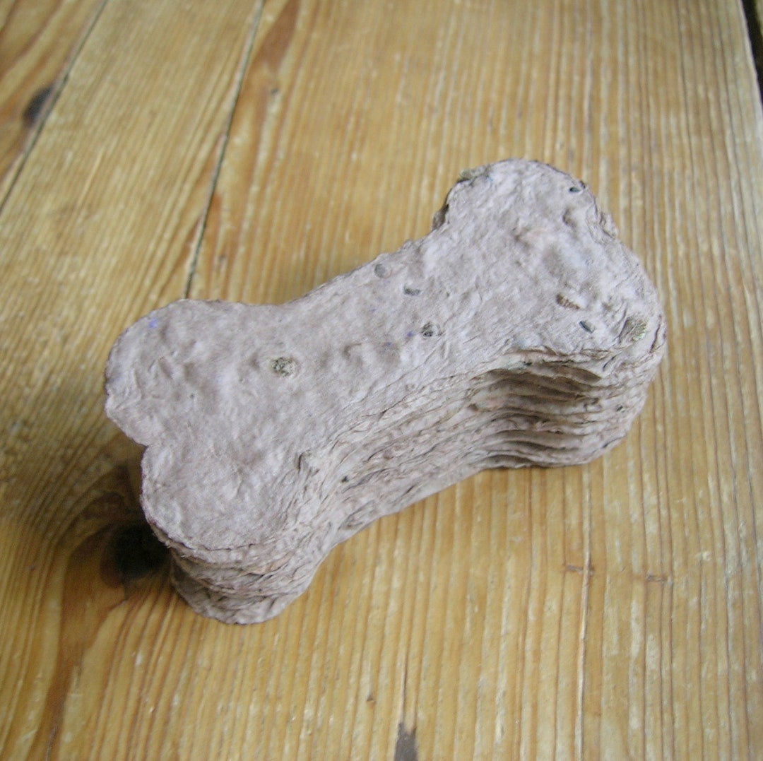 Plantable Dog Bone Sympathy Gift: Forget-me-not Seeds, Pet Loss ...