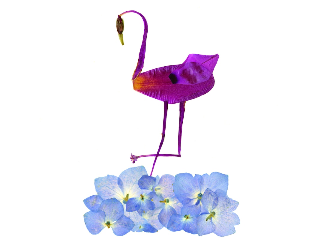 Flamingo Note Card: Pressed Flower Art Print, Tropical Bird - Etsy