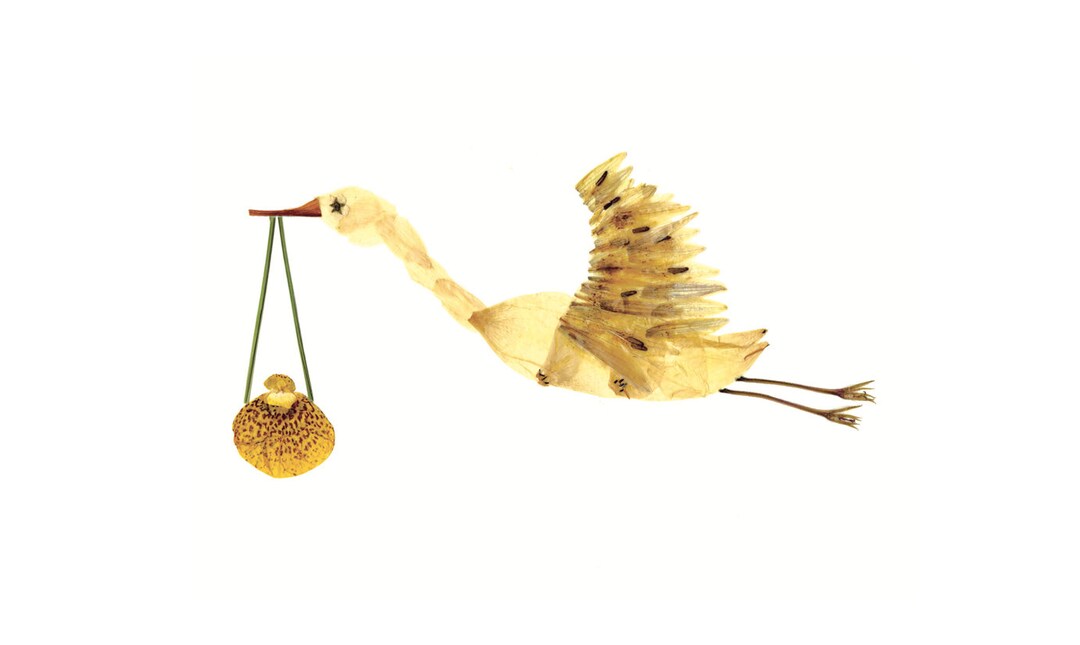 STORK - Baby Shower, New Baby, Mother's Day, Pregnancy Announcement ...