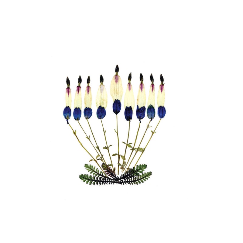Menorah Botanical - Etsy