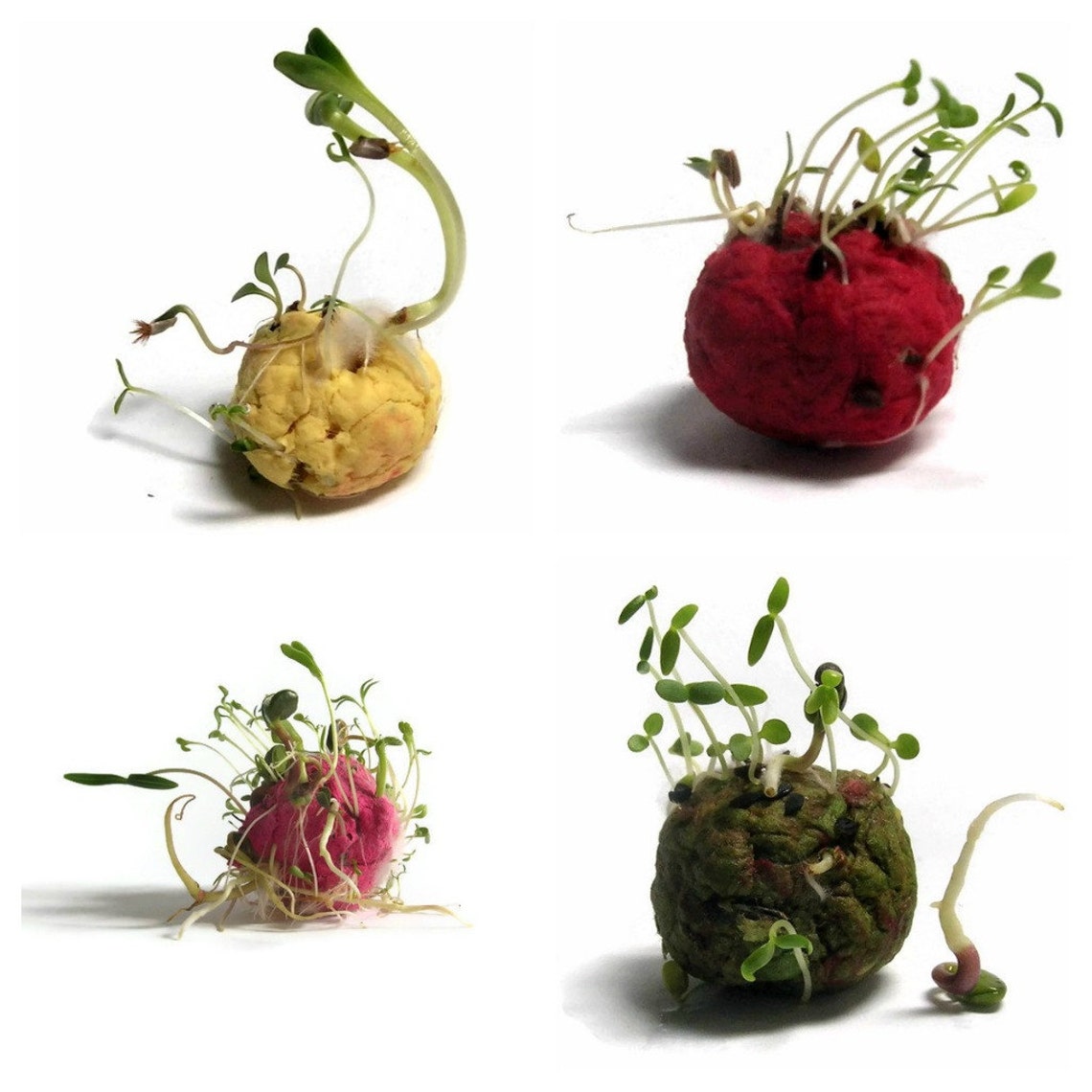 Seed Bomb Tutorial – DIY Plantable Paper Balls (how to PDF) - Etsy