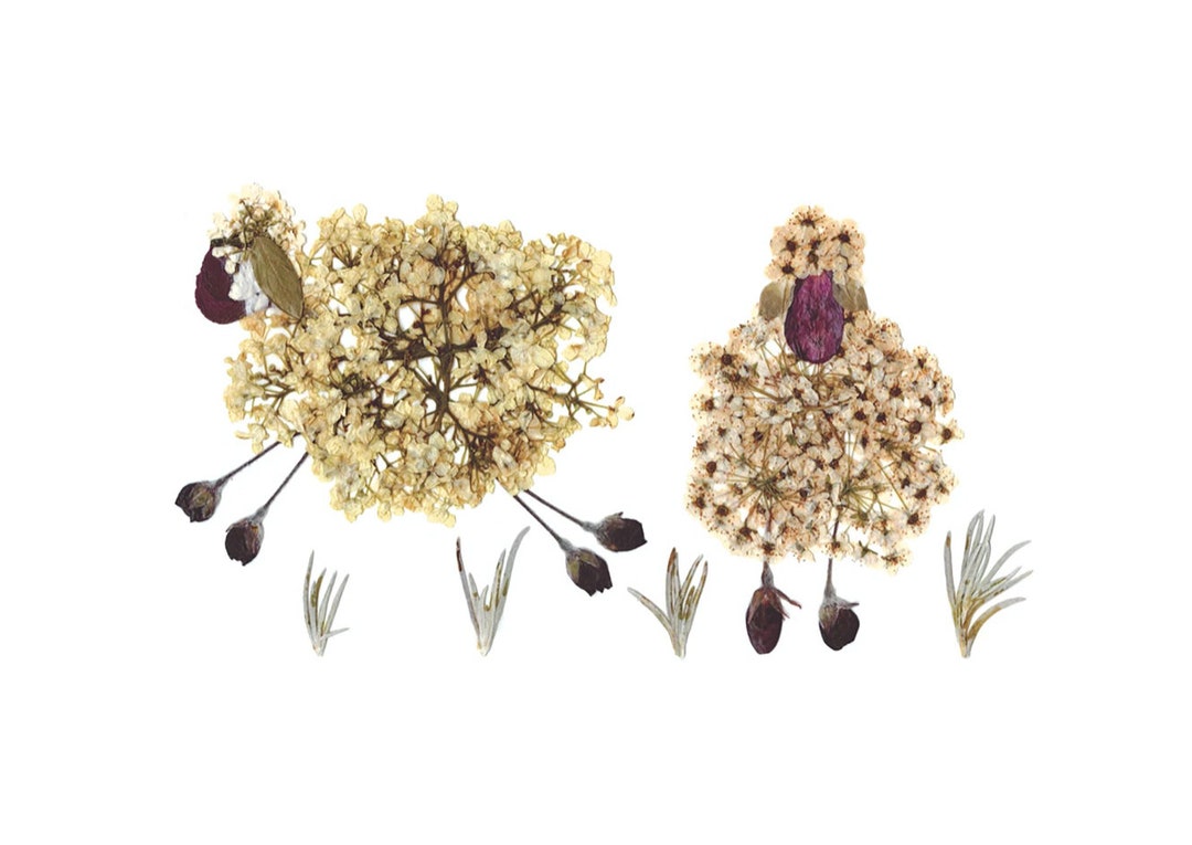 Sheep Note Card: Pressed Flower Art Print, Botanical Garden Greeting - Etsy