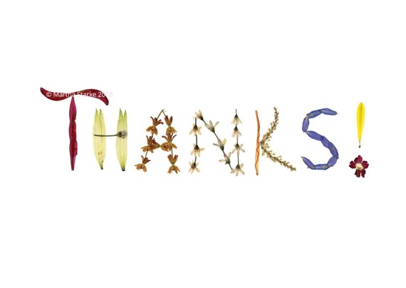 THANKS Thank You Notecard Botanical Art Print Created From - Etsy