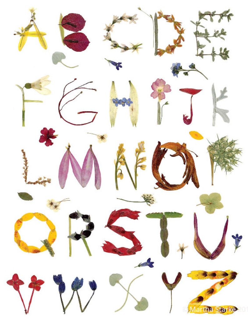 ALPHABET Pressed Flower Botanical Art Print of the Abcs | Etsy