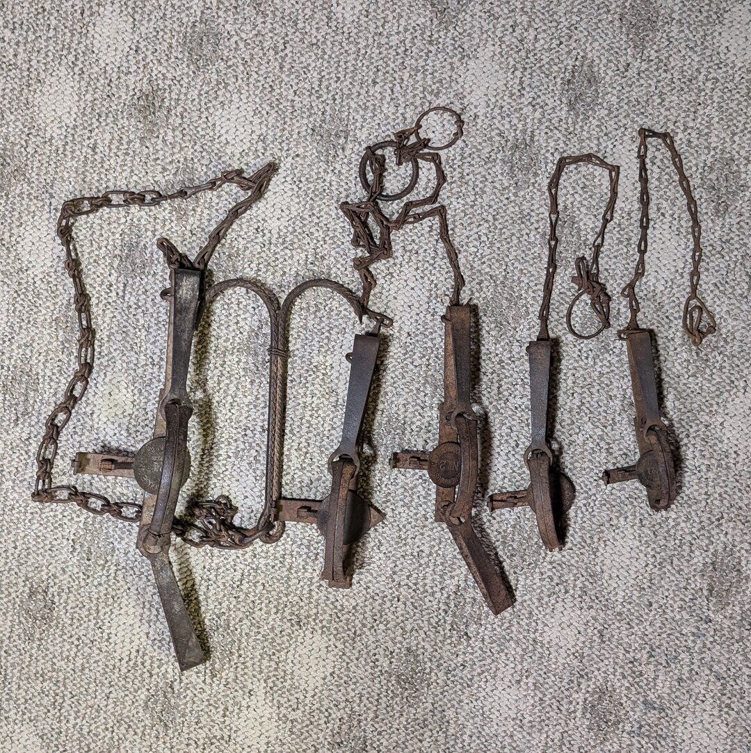 Newhouse Traps Lot - Etsy