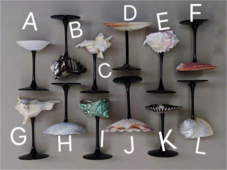 Shell Conch Cup, Handmade Cuisine Dessert Seashell Goblet, Customized ...