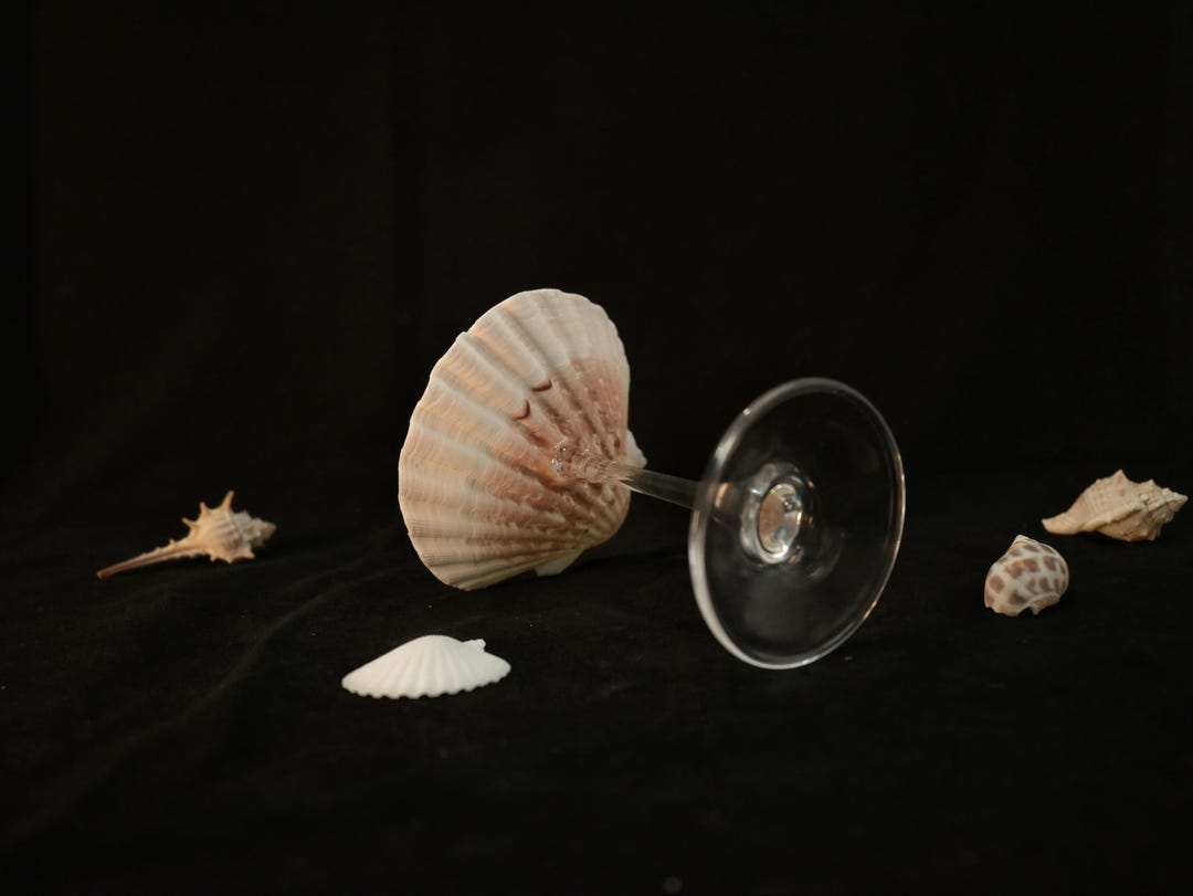 Shell Conch Cup, Handmade Cuisine Dessert Seashell Goblet, Customized ...