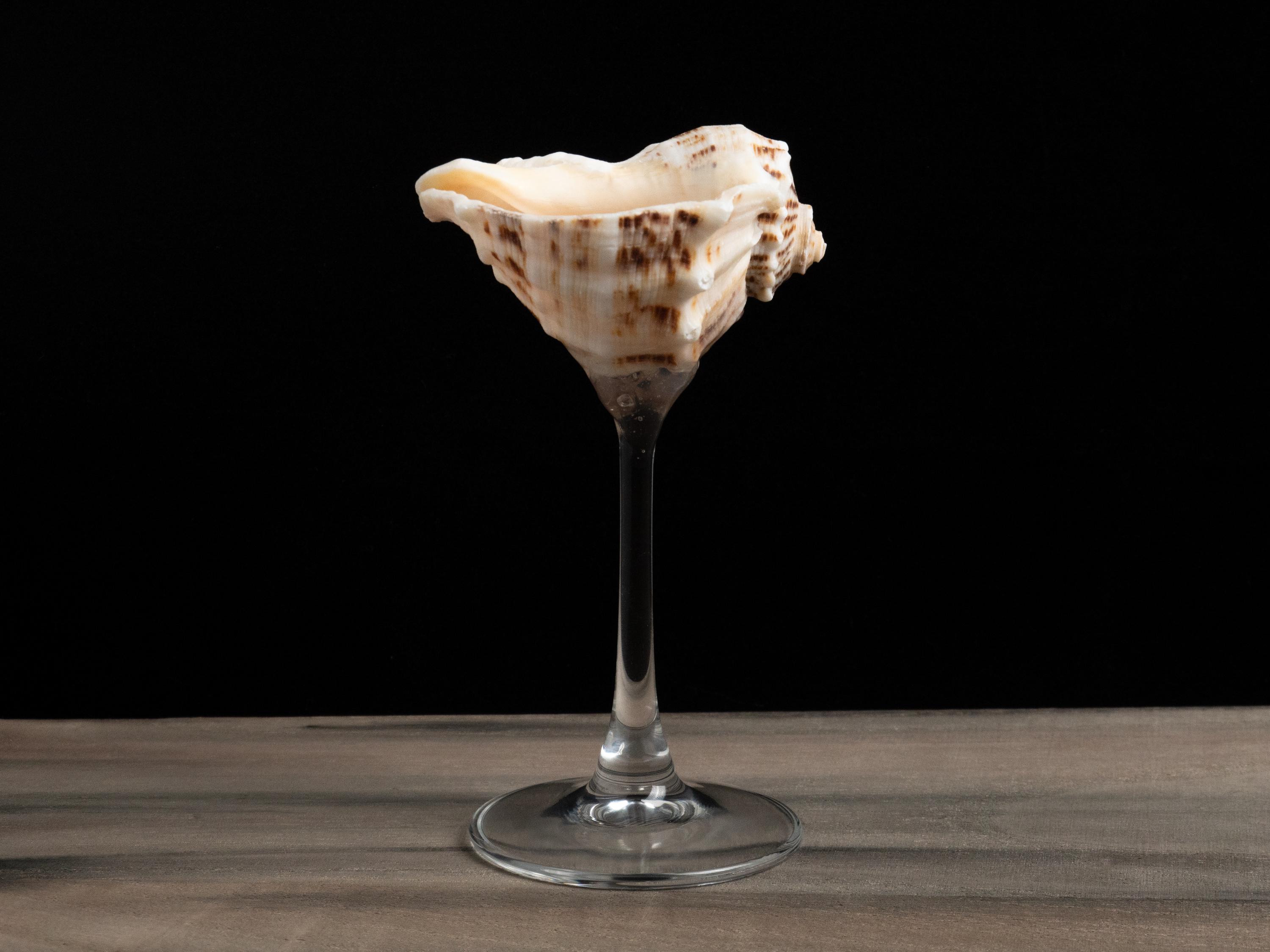 Customized Seashell Martini Glasses, Handmade Conch Cup Shell Cup ...