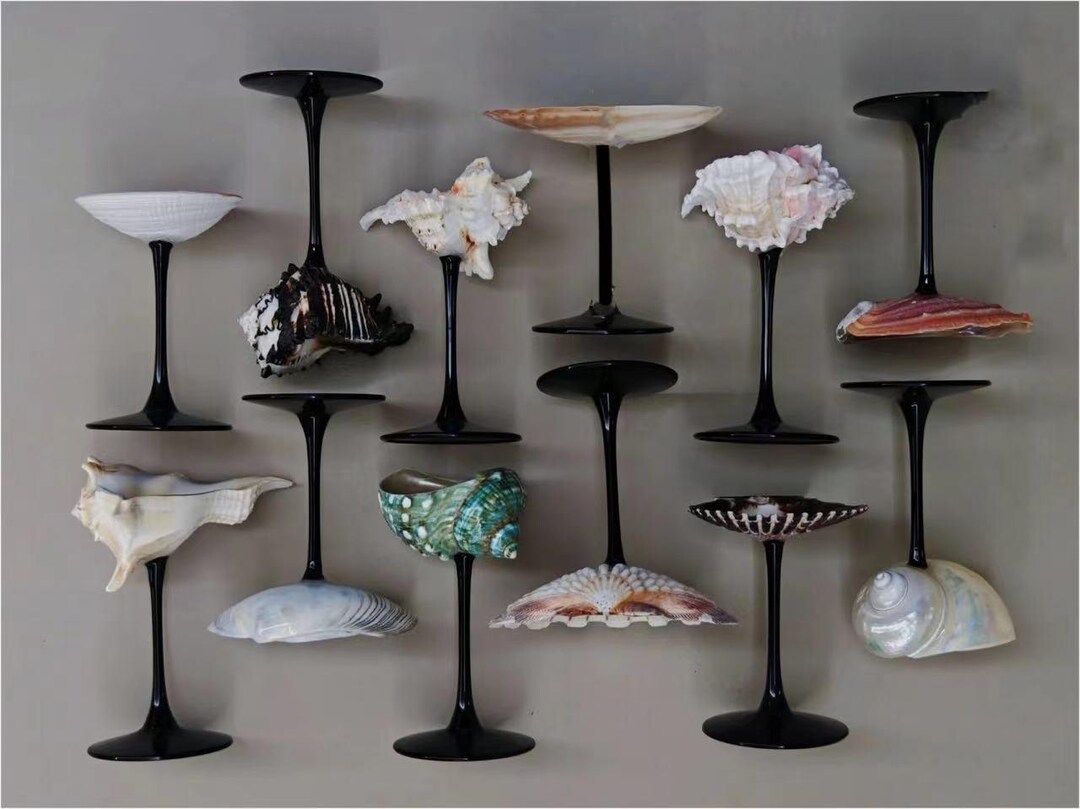 Shell Conch Cup, Handmade Cuisine Dessert Seashell Goblet, Customized ...