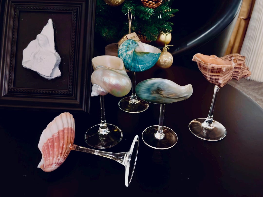 Set of 5 Conch Glass Set, Most Popular Beach Wedding Gifts, Conch ...