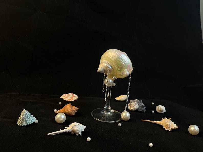 Shell Conch Cup, Handmade Cuisine Dessert Seashell Goblet, Customized ...