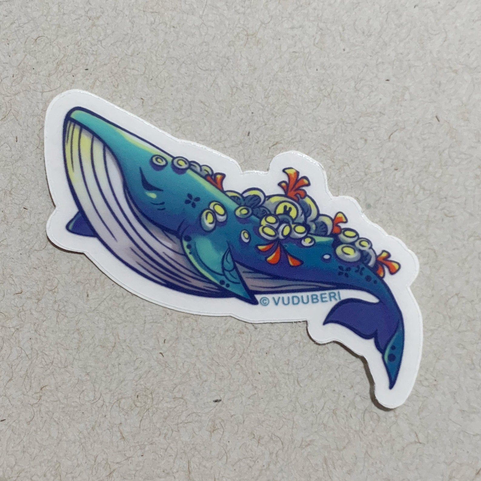 Barnacle Whale Transparent Vinyl Sticker | Etsy