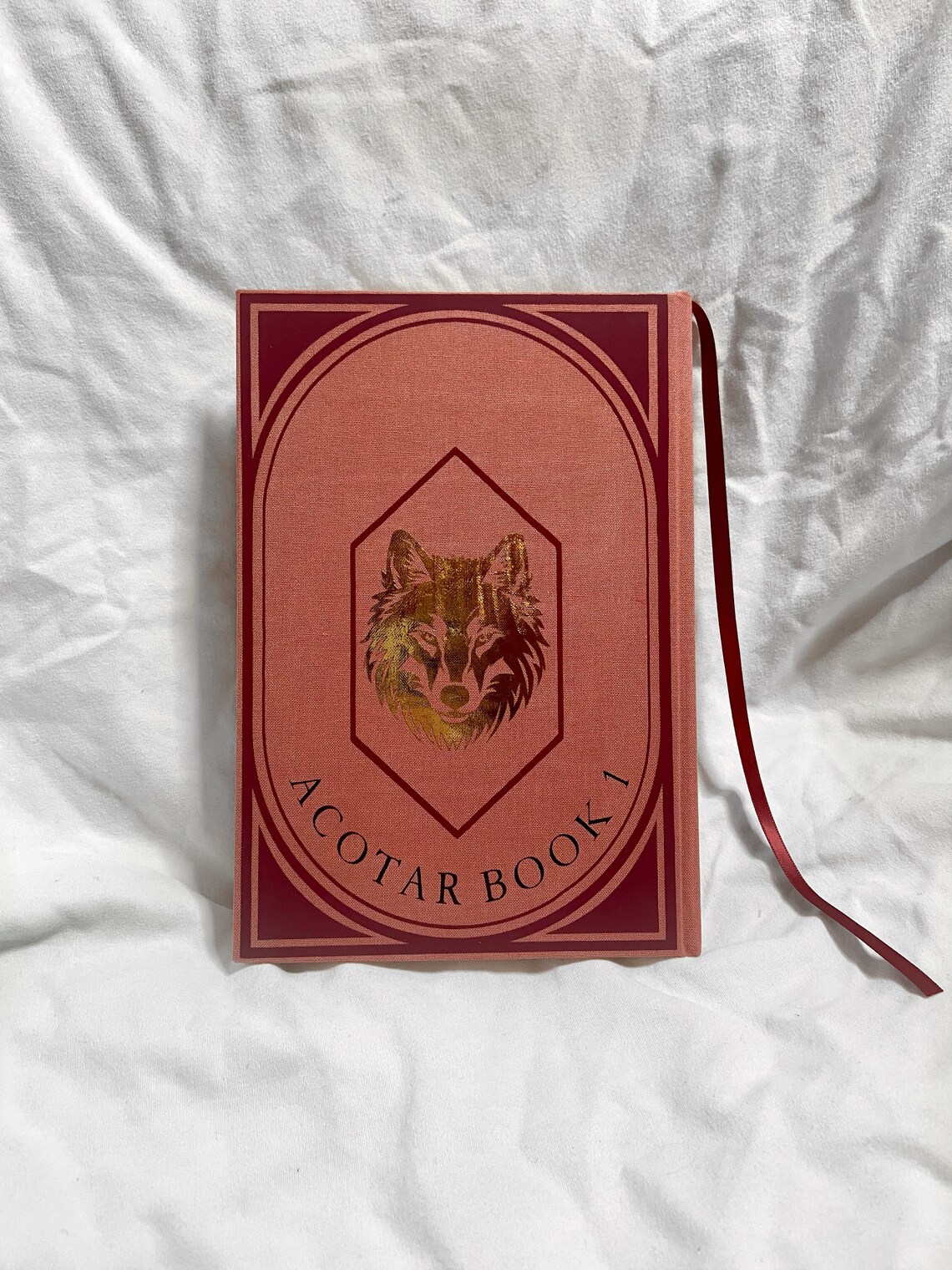 ACOTAR Book 1, A Court of Thorns and Roses Special Edition Rebound Hard ...