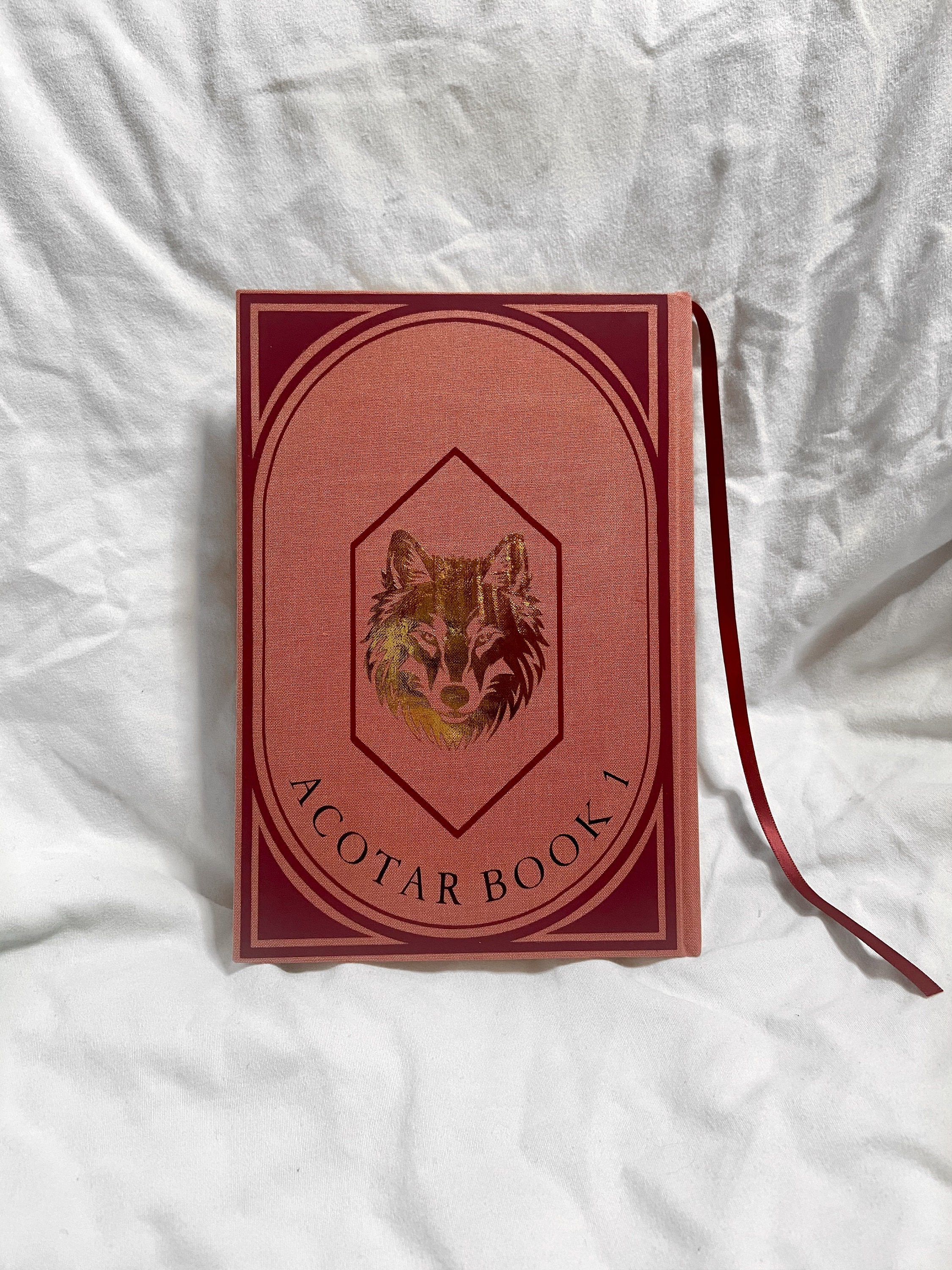 ACOTAR Book 1, A Court of Thorns and Roses Special Edition Rebound Hard ...