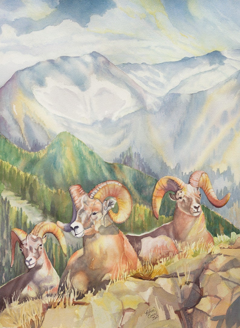 Bighorn Sheep in the Wallowa Mountains 22" X 30" - Etsy