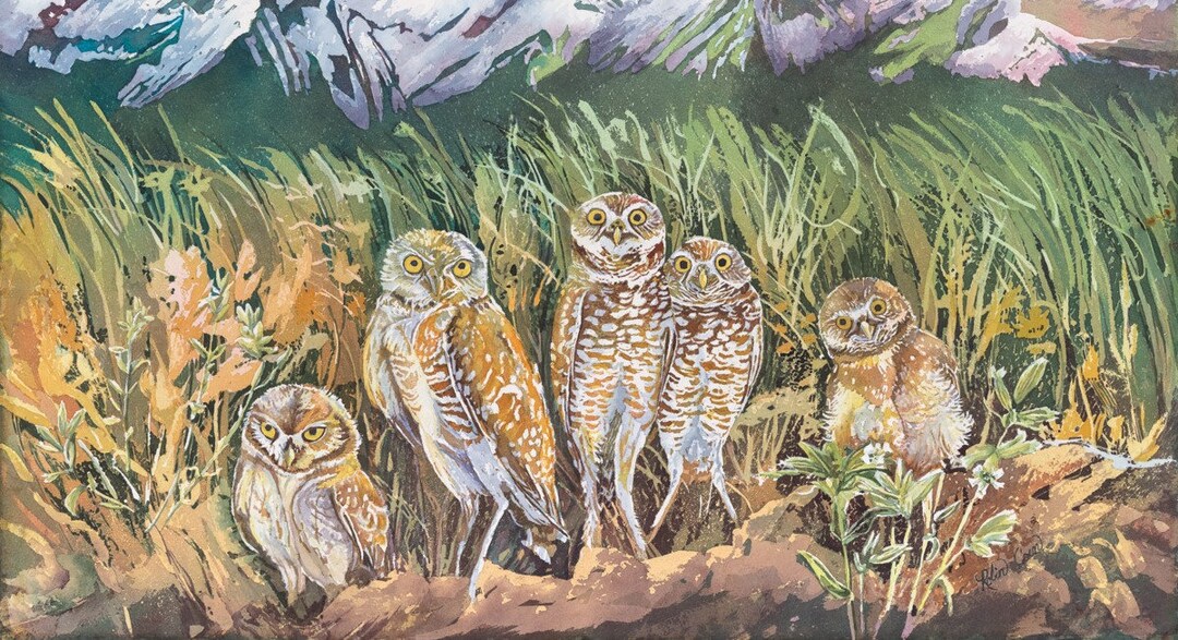 Peering From the Prairie - Burrowing Owls on the Zumwalt 31" X 22" - Etsy