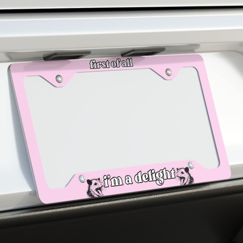 Funny License Plate Frames - Etsy