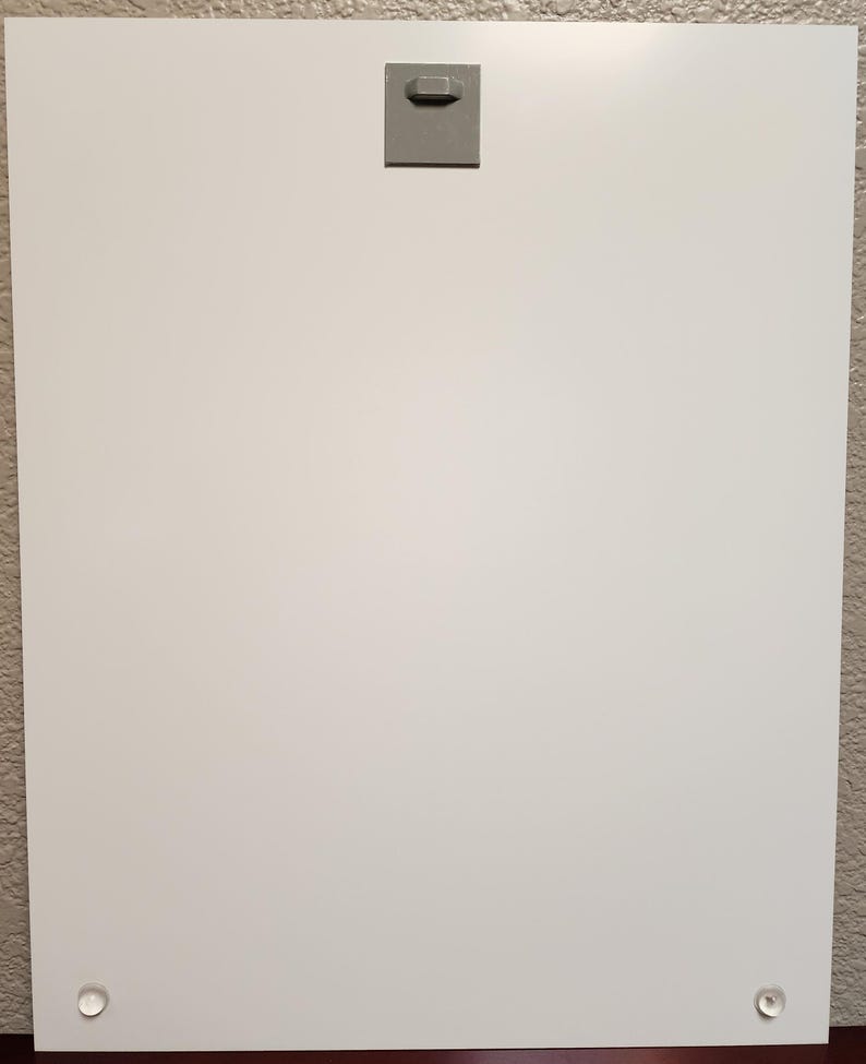 Skull Mushrooms Aluminum Composite Panel, Biodiversity Colors Life and ...