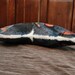 Biodiversity Halloween Werewolf Pillow, Blue Werewolf, Wolves Help ...