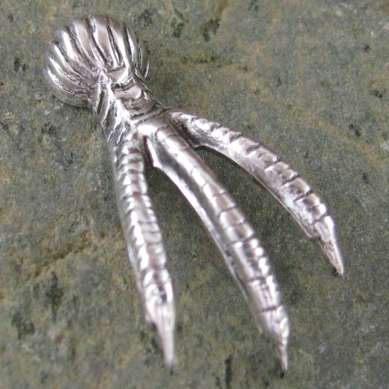 Bird Talon Ring - Etsy