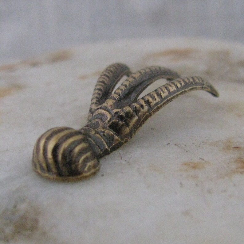 New - Steampunk Avian Bird Claw Talon Large Antique Brass 1264 - 6 ...