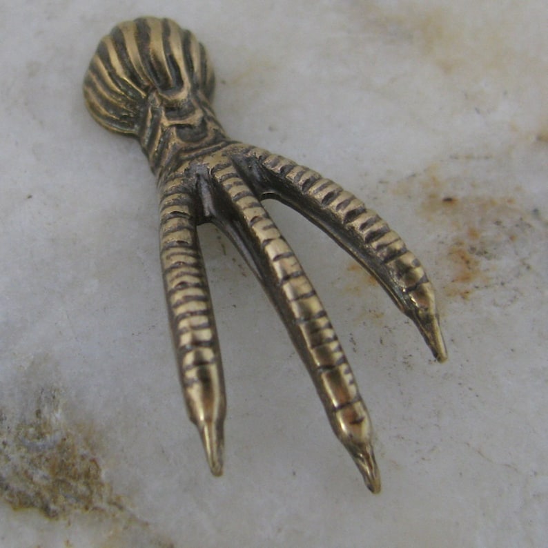 New - Steampunk Avian Bird Claw Talon Large Antique Brass 1264 - 6 ...