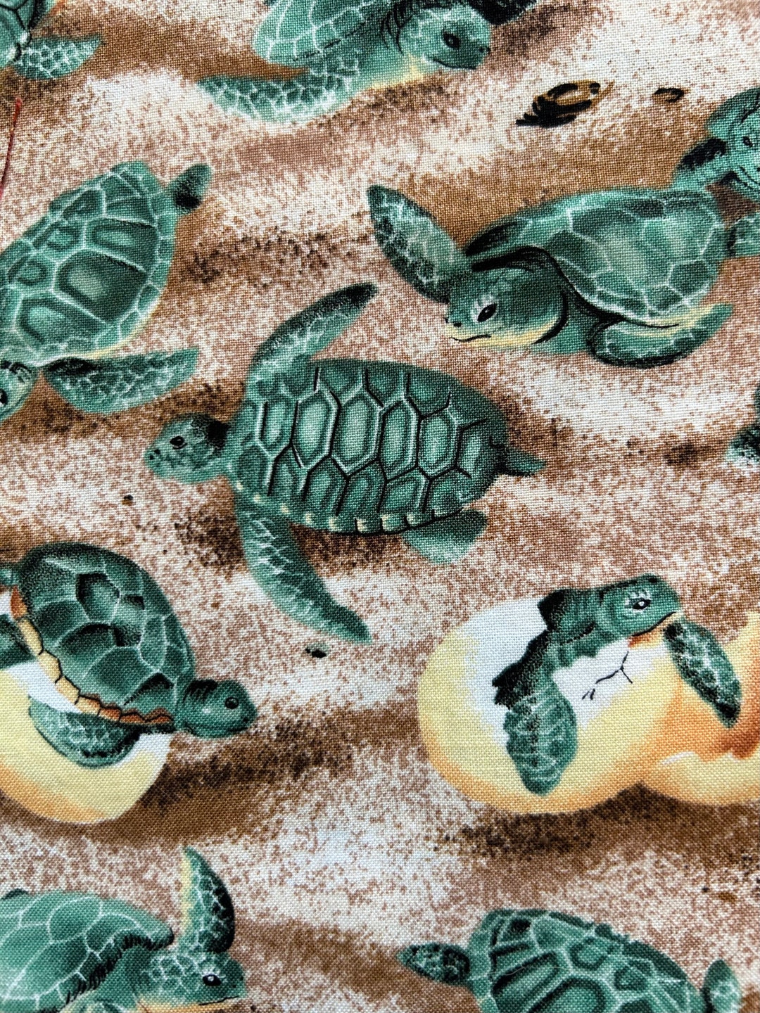 Sea Turtles, Hatching Sea Turtles on the Beach, 1 Yard - Etsy