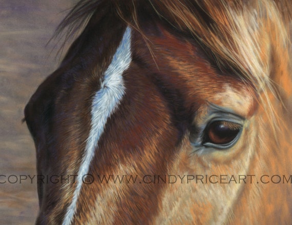 Pony Horse Print of Original Painting Drawing Equine Art by | Etsy