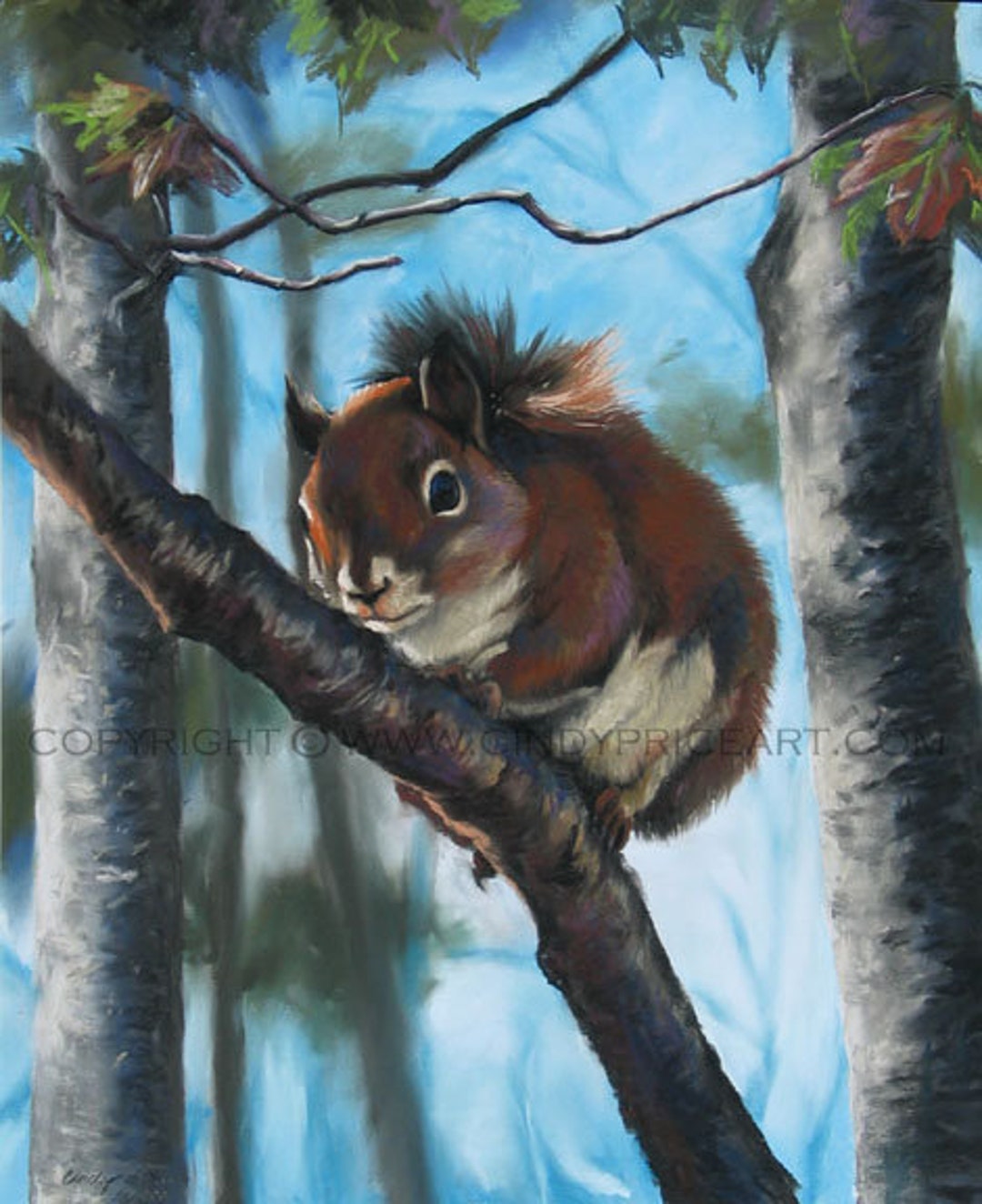 Wildlife Nature Art - Squirrel Original Pastel Painting Drawing, Out on ...