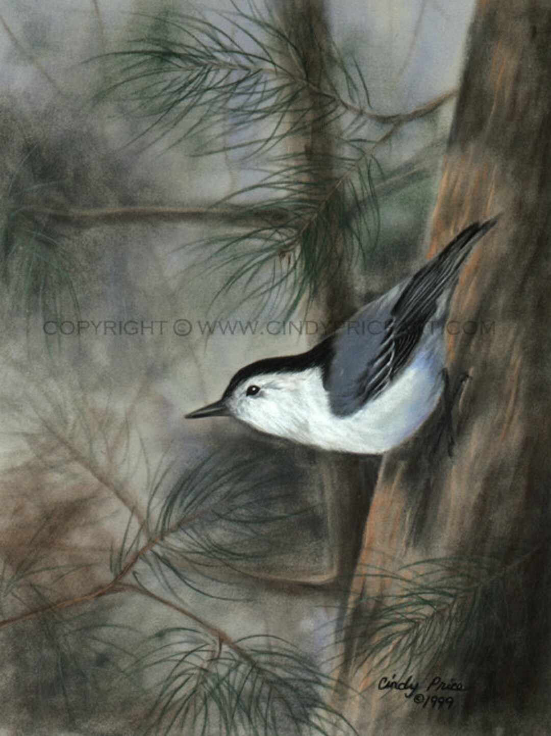 Nuthatch Bird Art Print of Pastel Painting - Etsy