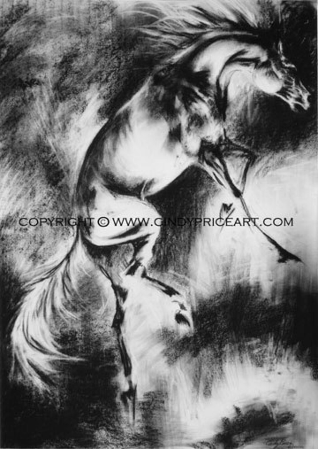Flying High II Print of Original Charcoal Drawing Equine Art - Etsy