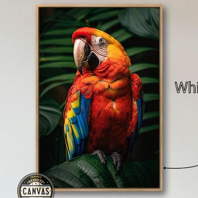 Macaw Poster - Etsy