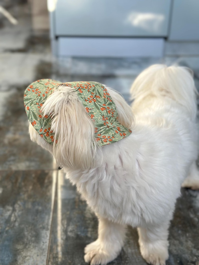 Dog Panama With Cherry, Bucket Hat, Sun Protection Cap for Dog & Cat ...