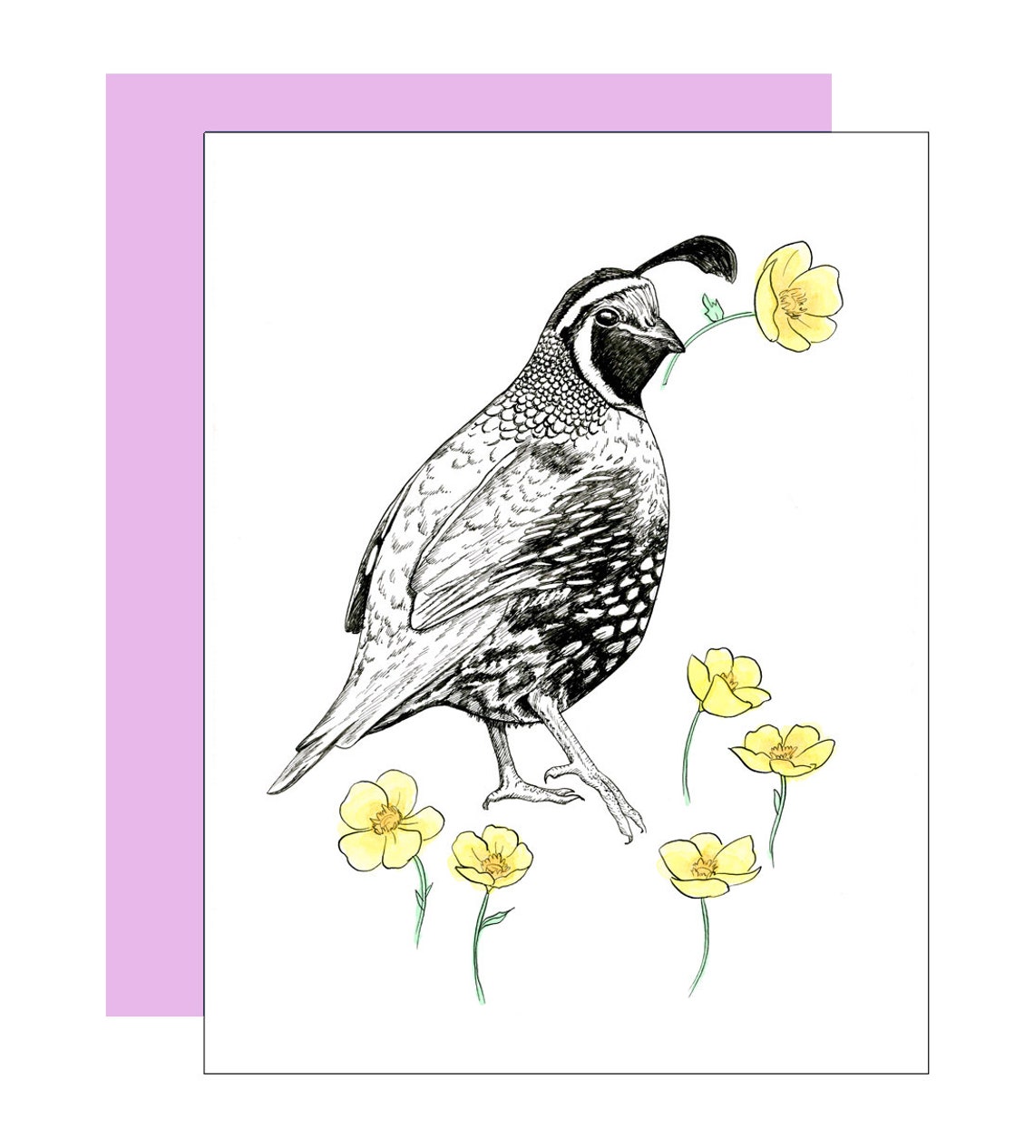 Quail Card - Etsy