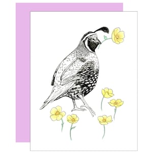 Quail Card - Etsy