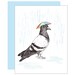 Pigeon Card - Etsy